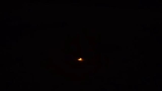 Жук (T 0901) *1/20/12/6 (шт.)