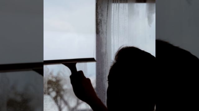 Tecnovap Horeca 2 IG