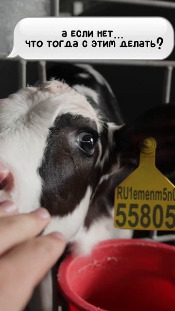 Пусть ваша пятница будет обнадеживающей!🙂