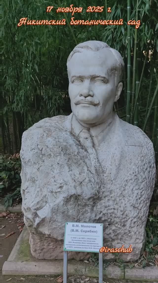 17 ноября 2025 г. Никитский ботанический сад #ялта #ялта2025 #никита #никитскийботаническийсад