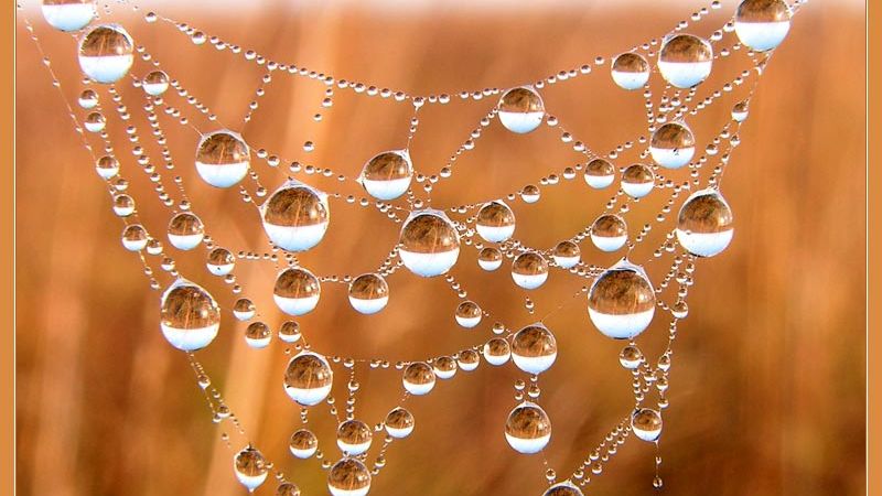 20.11.2025 Индивидуальная сессия  Передача энергии и повышение вибраций в группе