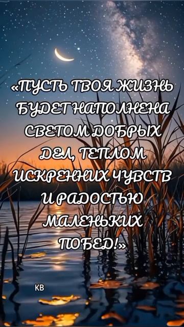 #мысли #цитаты #katyboro #афоризмы  #топ #рек #shortvideo #short   #viralshort #умныемысли  #2025