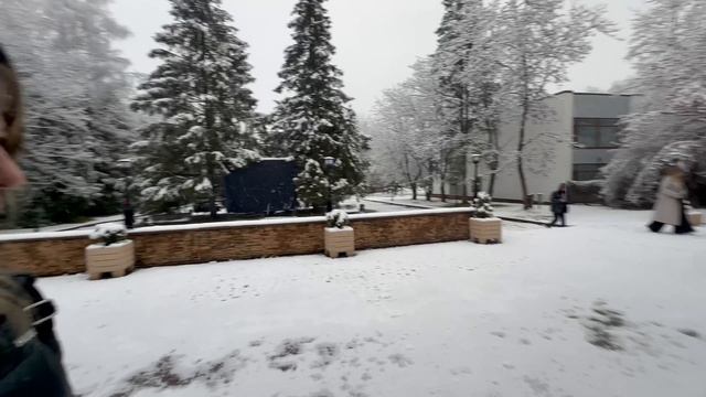 В Мытищах 15-11-2025