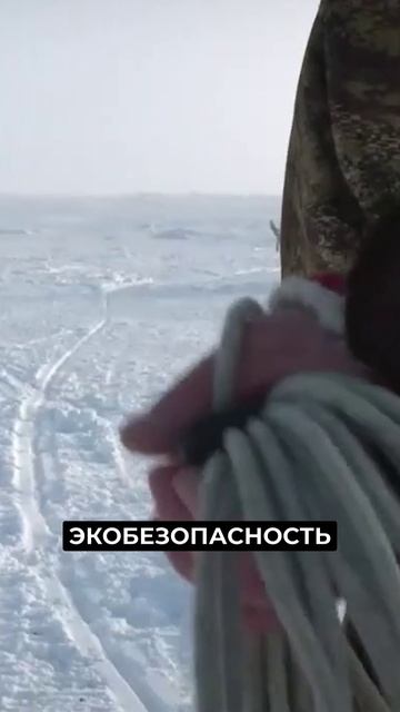 📍На Ямале стартовал форум КМНС, Сибири и Дальнего Востока #новости #янао