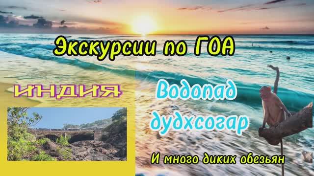 Индия ГОА 2025. Водопад Дудхсагар. Экскурсии на Гоа
