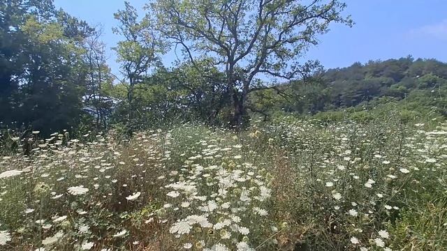 Геленджик. Этажи. снт.Джанхот. ул.Кудрявцева. Об.9087999