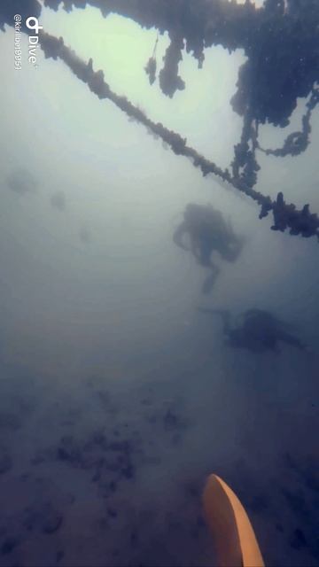 Рэк-дайвинг в Дубае, дайвинг в Дубае, дайвинг в Эмиратах