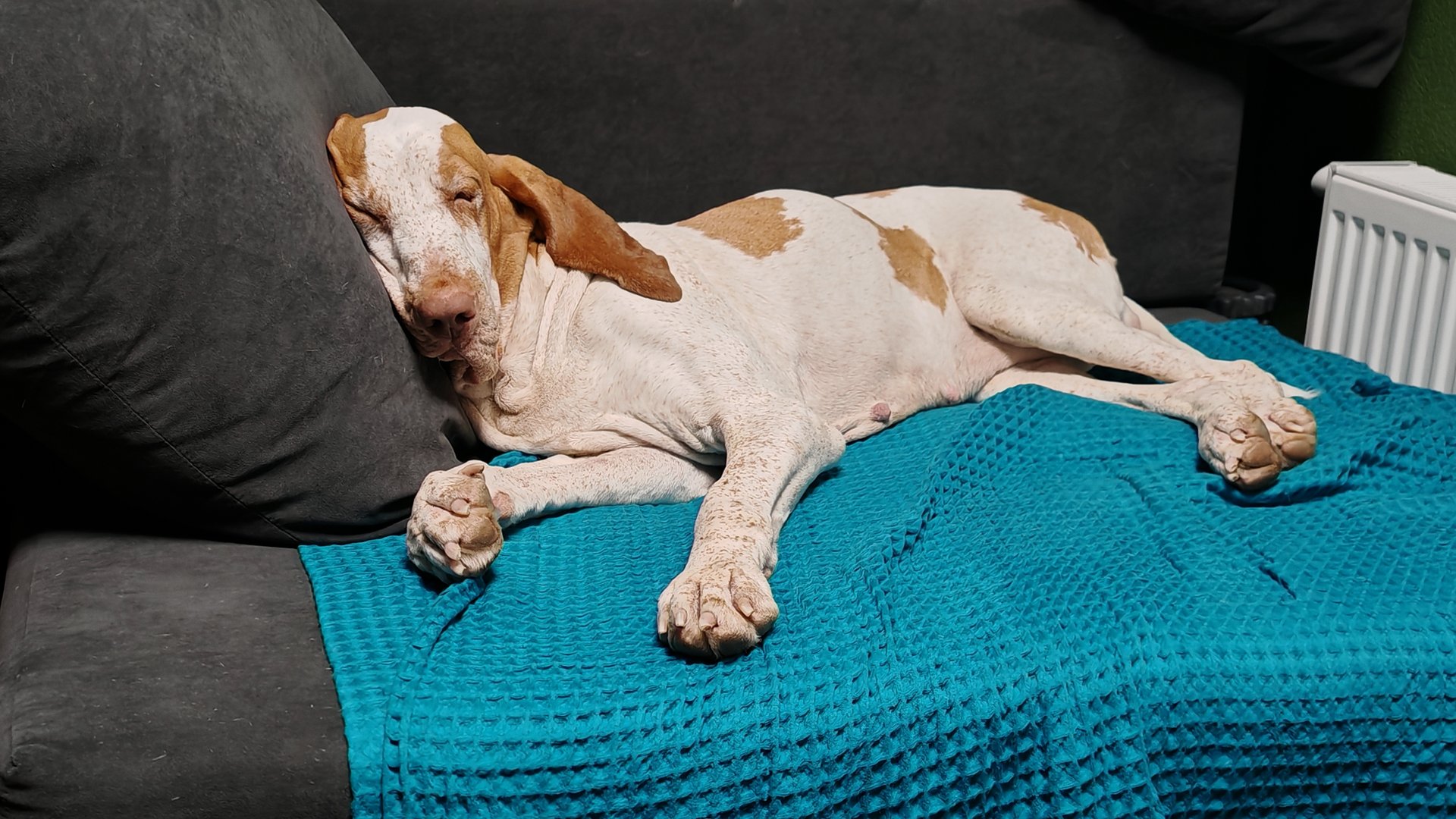 Здоровый сон.