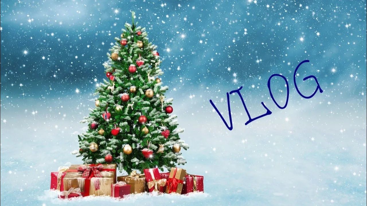 45-2023 Концерт в метро _ Подарки, Ёлка и расхламление __ Elena Pero