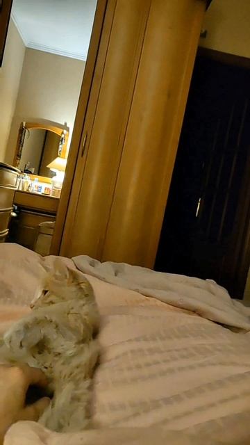 Укладываемся спать