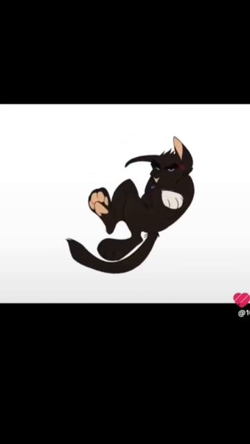 КОТЫ ВОИТЕЛИ MEME MY FRIEND'S