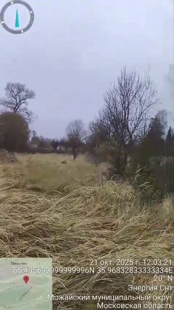 с. Борисово 50:18:0090316:2342