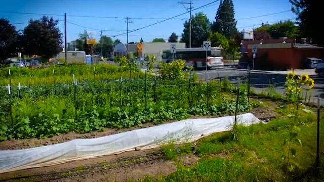 3 серия Добрый урожай