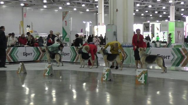 Класс чемпионов