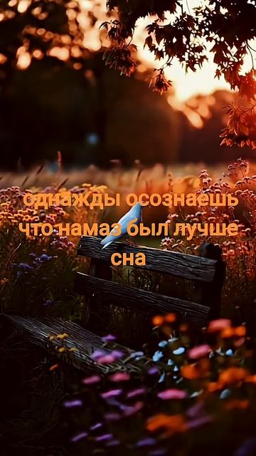 однажды мы осознаем,что намаз был лучше сна.