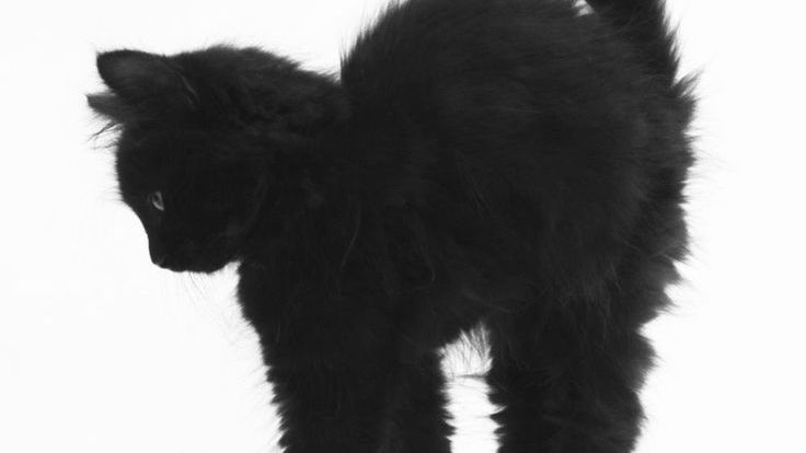 стрим с подругой