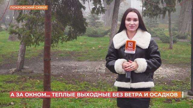 А за окном. 21 ноября 2025