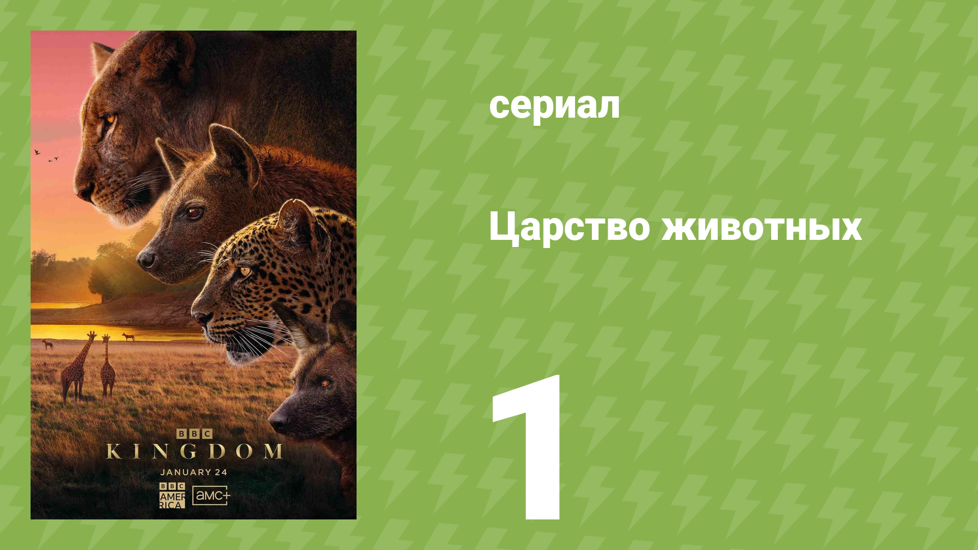 Царство животных 1 серия (документальный сериал, 2025)