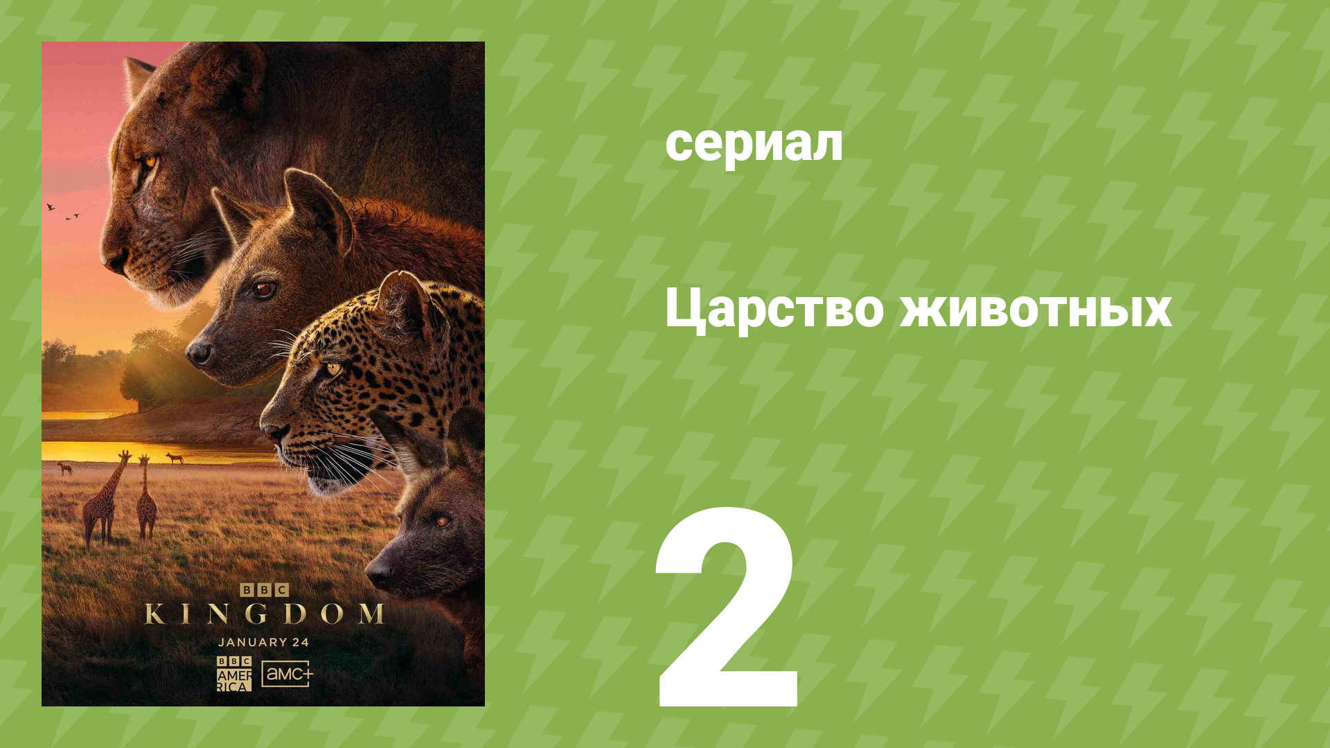 Царство животных 2 серия (документальный сериал, 2025)