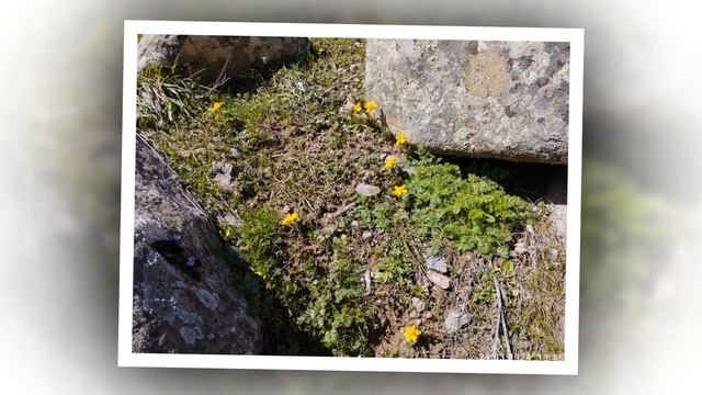 Открытие горного сезона_2024