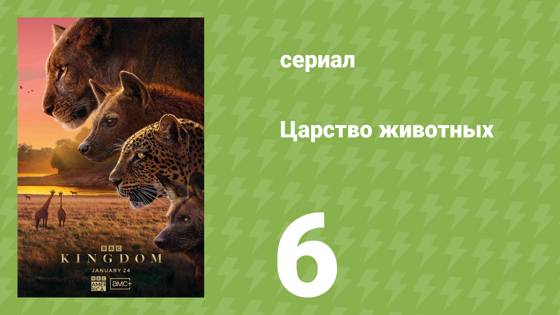 Царство животных 6 серия (документальный сериал, 2025)