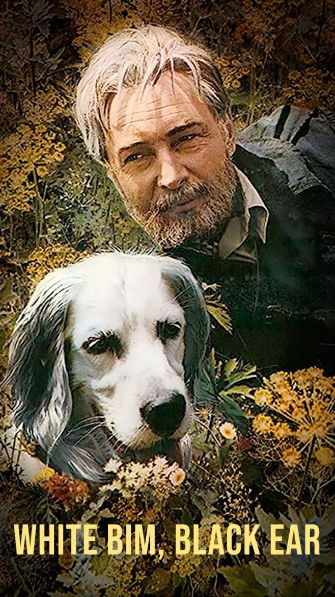 По местам съемок фильма "Белый Бим Чёрное ухо" | Полная версия на канале (4)