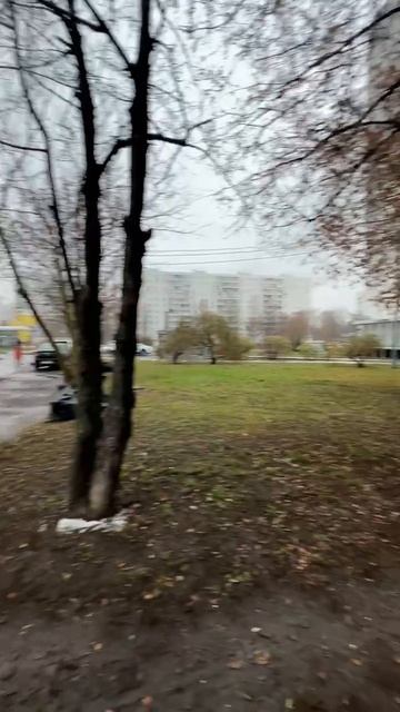 Обзор территории, близость к  метро. Москва, Енисейская ул., 28к1