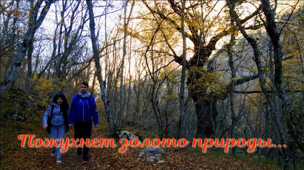 Пожухнет золото природы. Стихи, монтаж и генерация звука в ИИ - Е.Доставалов