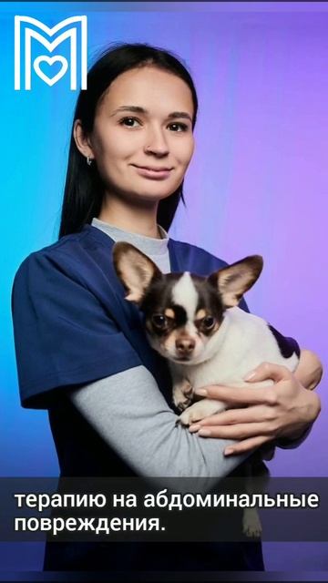 Реабилитация Бусинки | На чихуахуа упала кега с водой