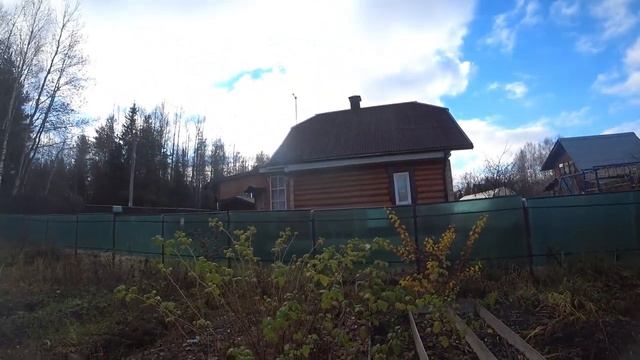 40-2023 Дачный VLOG __ Обрезка малины _ Шашлык __ Elena Pero