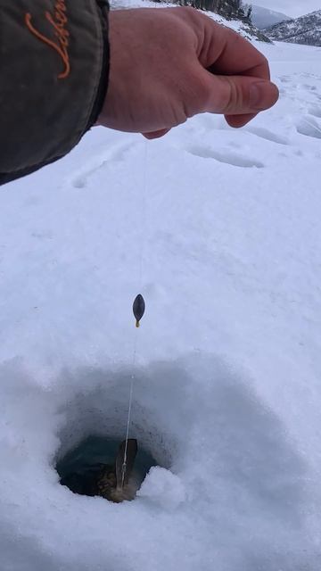 Лифт налима...