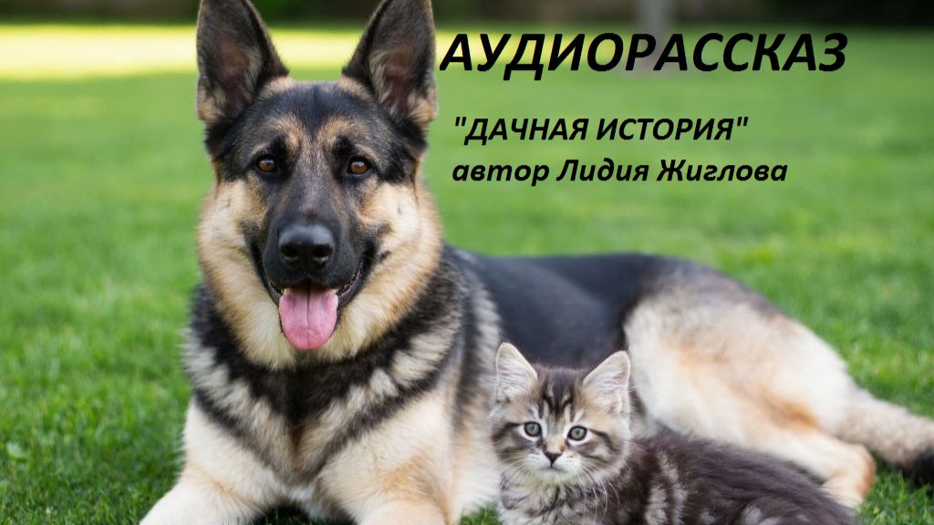 "Дачная история" автор Лидия Жиглова