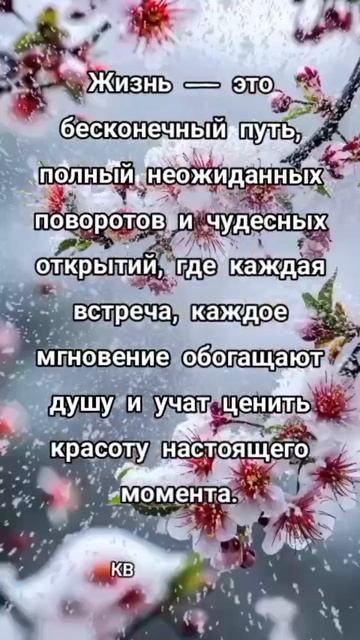 #мысли #цитаты #katyboro #афоризмы  #топ #рек #shortvideo #short   #viralshort #2025 #шорст #рутуб