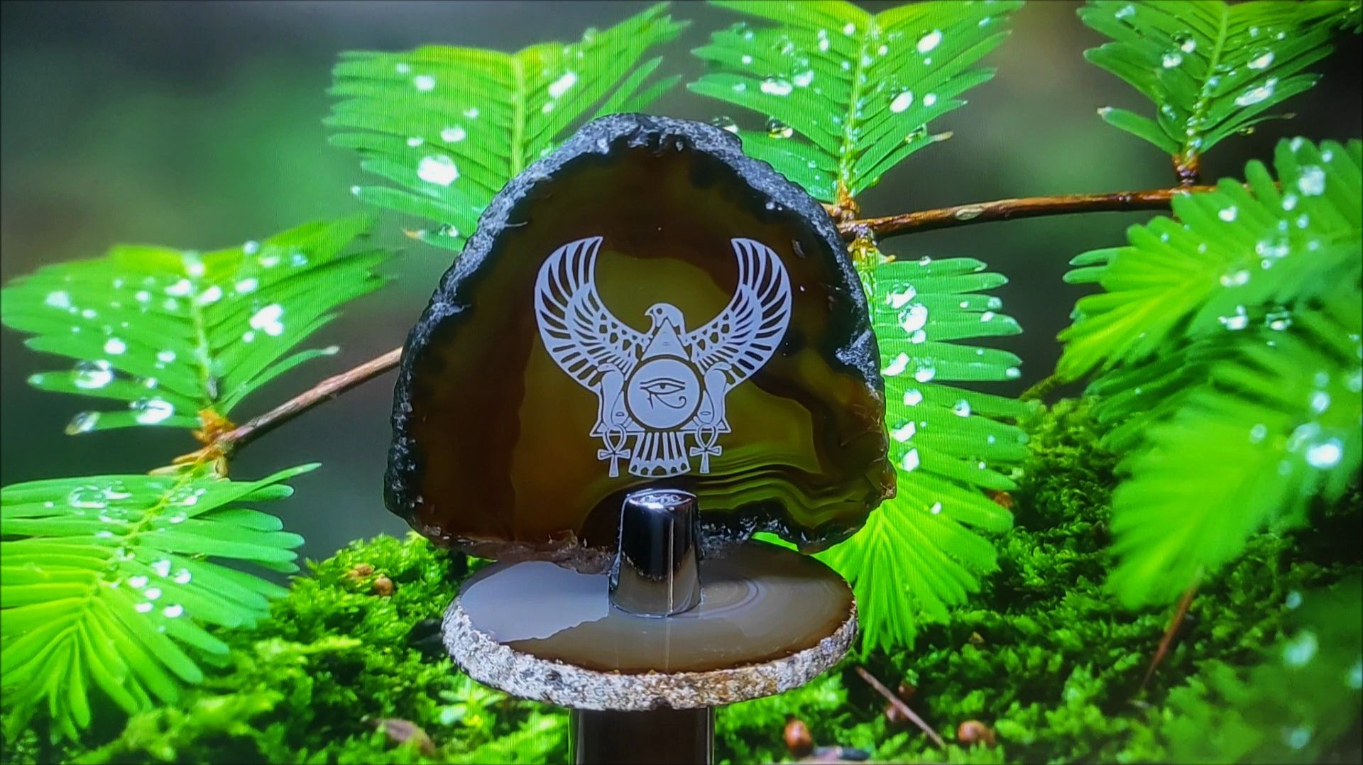 Посвящение