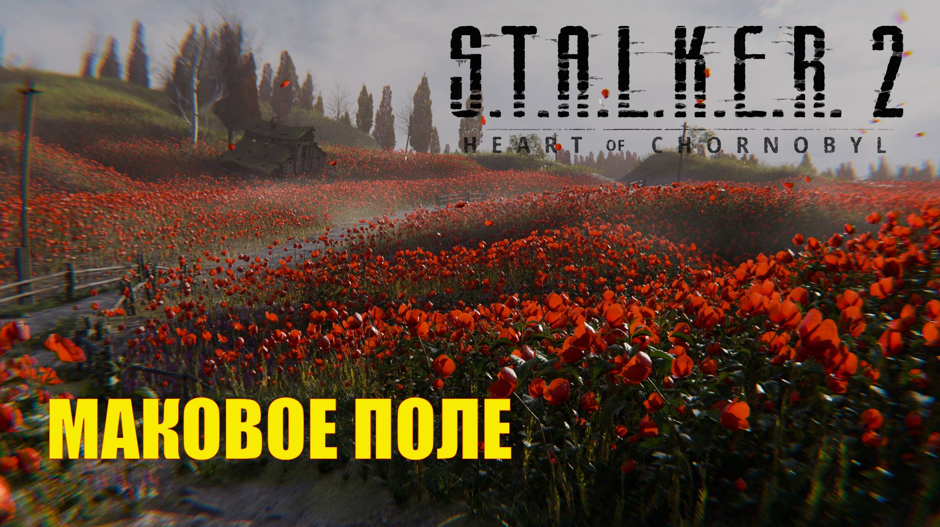 Сталкер 2 //Тайники// Схрон у хибары на Маковом