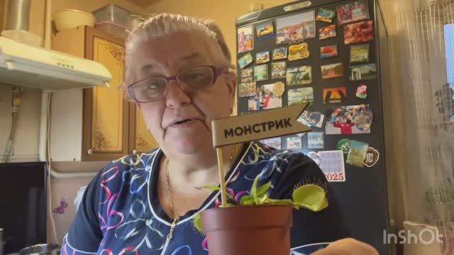 #1-22.11.25 🌹ПРЕЗЕНТ ОТ АЛУСИ 🌹ПОКРАСИЛАСЬ ТОНИКОМ 🌹