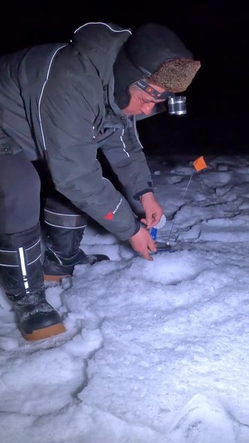 ГЛЮК НА РЫБАЛКЕ...