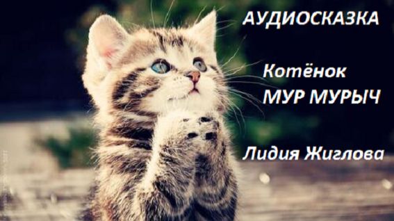 "Котёнок Мур Мурыч" Автор Лидия Жиглова