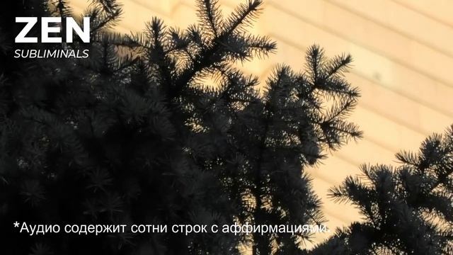 Суперинтеллект. Скрытые аффирмации. Саблиминал.