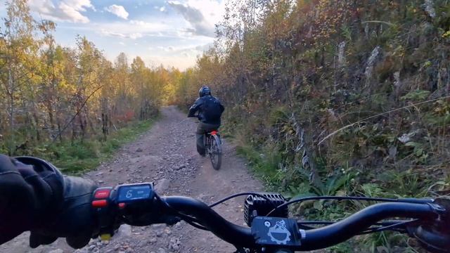 Большая покатушка по осеннему лесу на электро велосипедах SUR RON и Leili Enduro