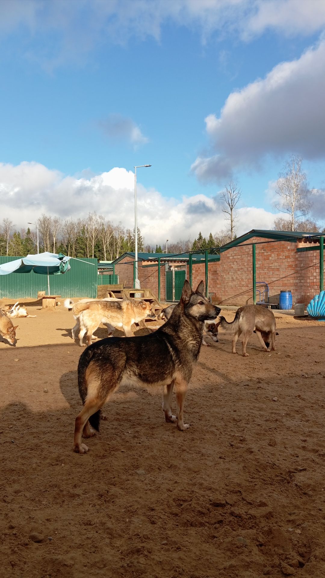 "Расставание неизбежно" ❥ Приют в Малинках