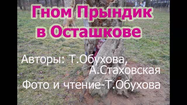 Гном Прындик в Осташкове