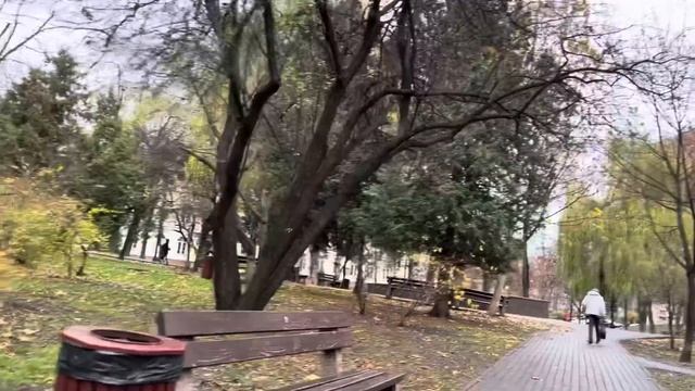 Украина 21 ноября! Что сегодня происходит в Киеве!