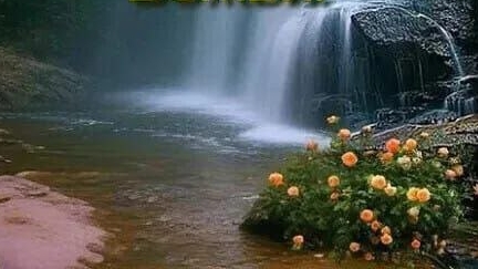 Мой опыт в Служении Освобождения😍