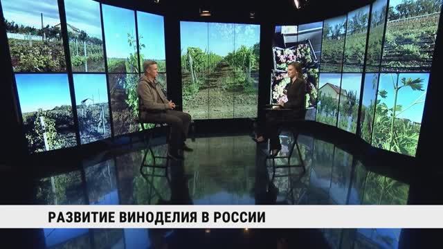 Развитие виноделия в России / Андрей Нечаев