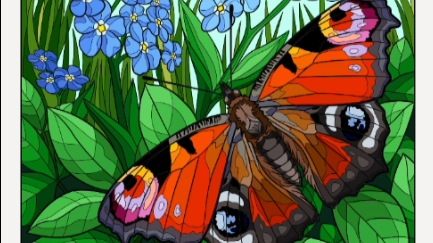 раскраска для детей