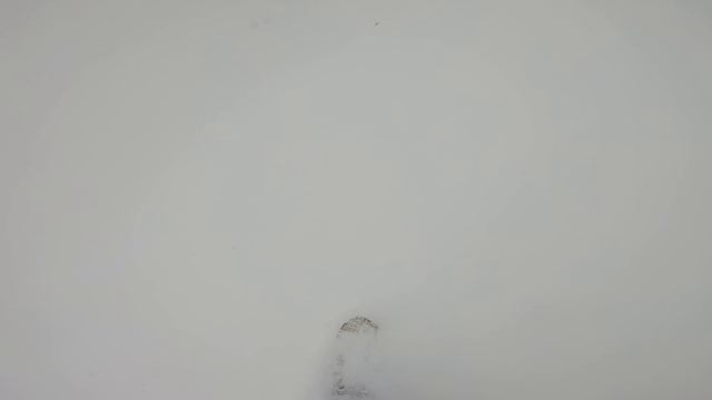 * Шерегеш Ноябрь 25. 9-4-1-Ежик в тумане