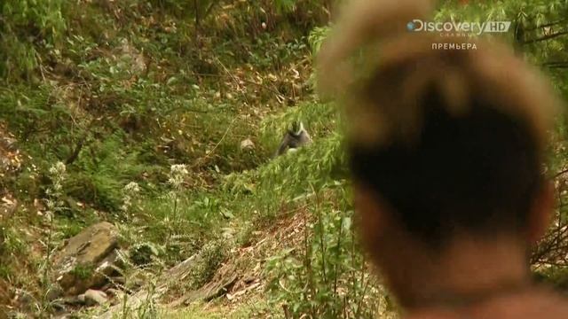 Голые и напуганные 3 сезон 7 серия (реалити-шоу, 2014)