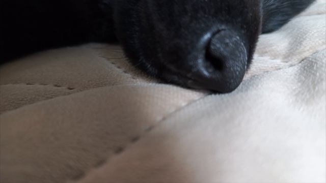 Вермут и соплюшки