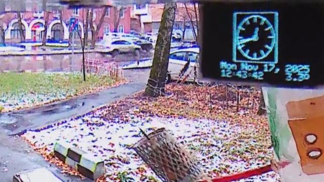 В генеральную прокуратуру РФ Нарушения ПДД и САНПИН